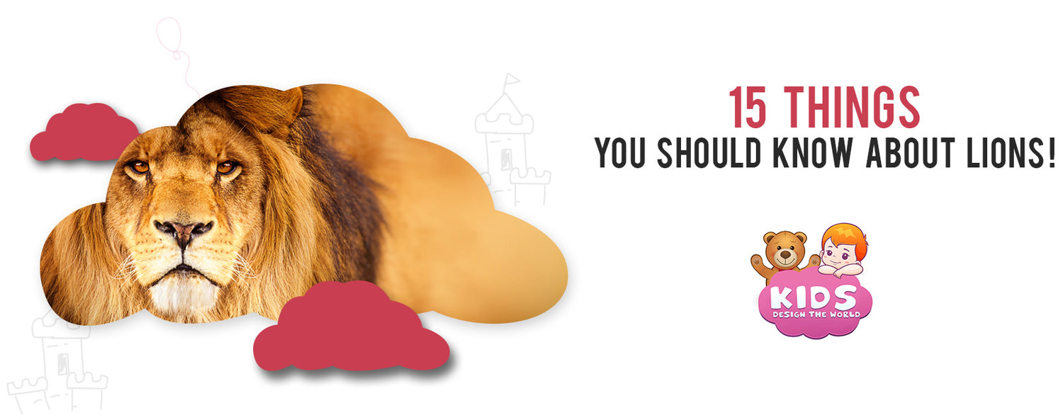 15 Things you Should Know About Lions! | Kids Design The World