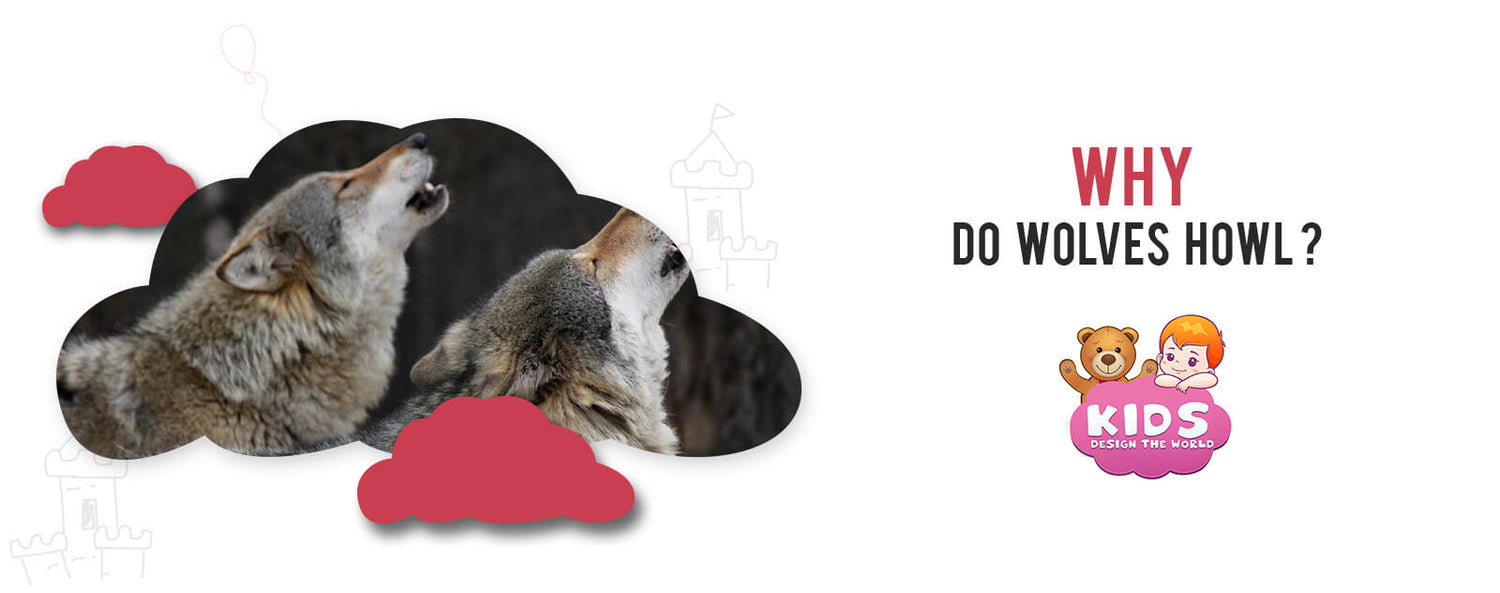 Why Do Wolves Howl ? : Night at the Moon | Kids Design The World